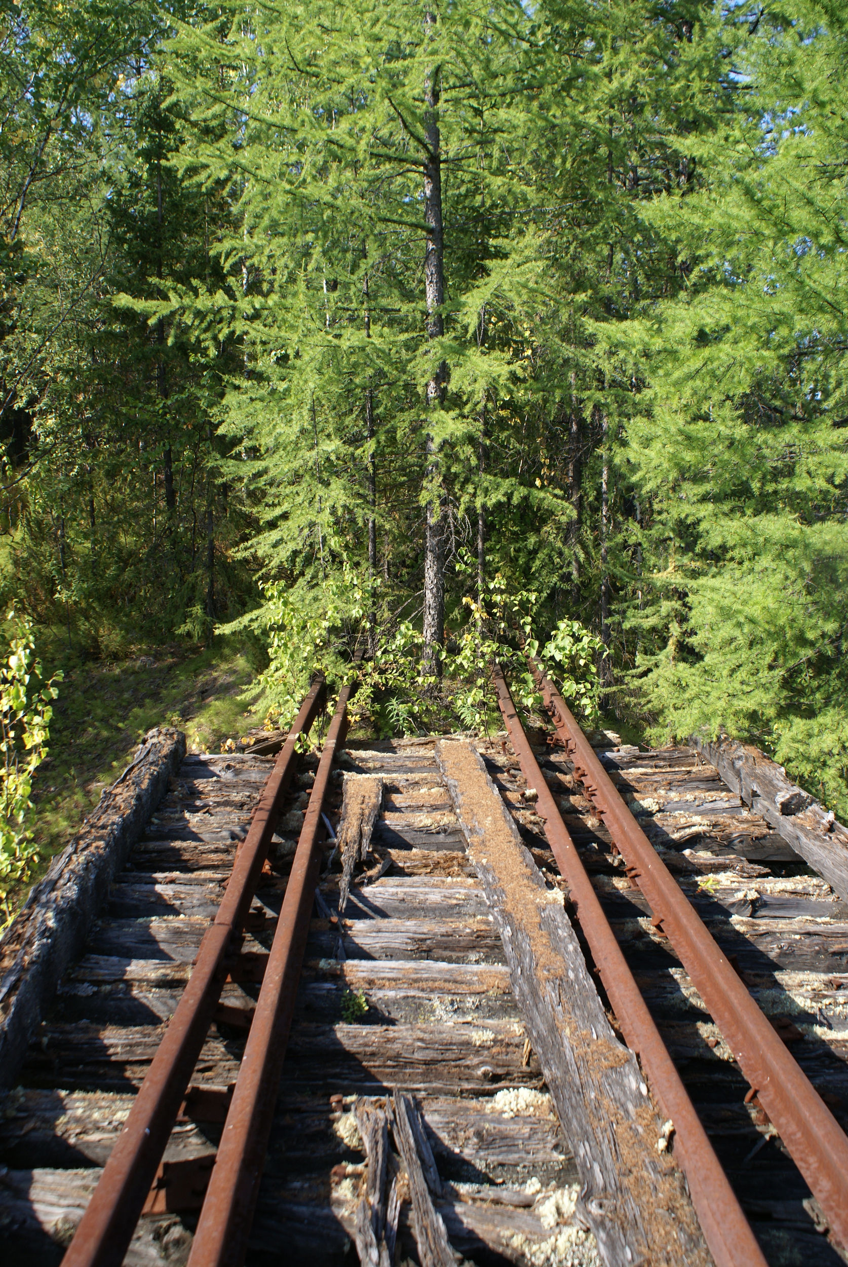 The history of the Dead Road